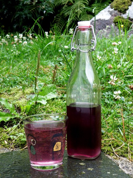 Geitramssaft | Smakebiten